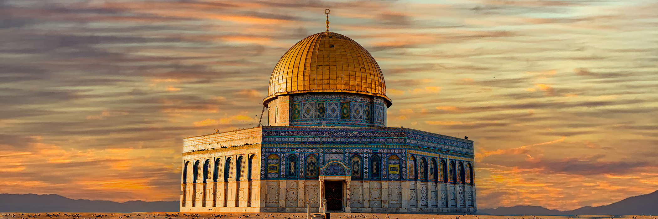 XBRL Reporting Solutions for Israel ISA | EcoActive