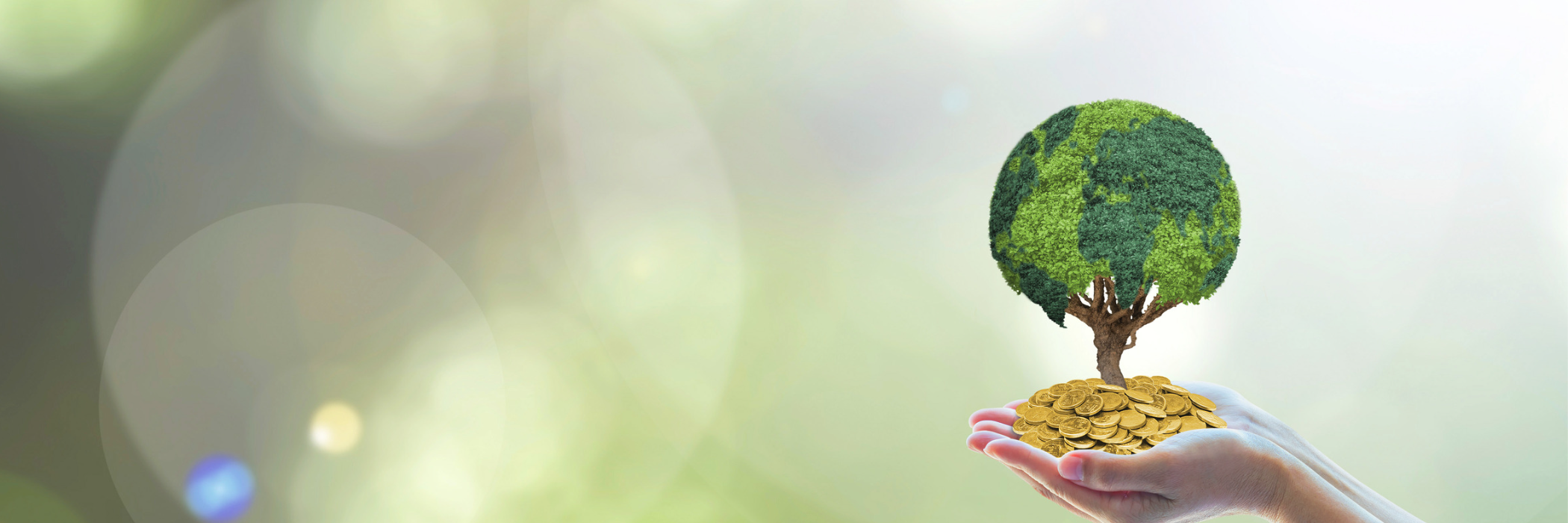 ESG Backlash in the US: What Implications for Corporations and ...