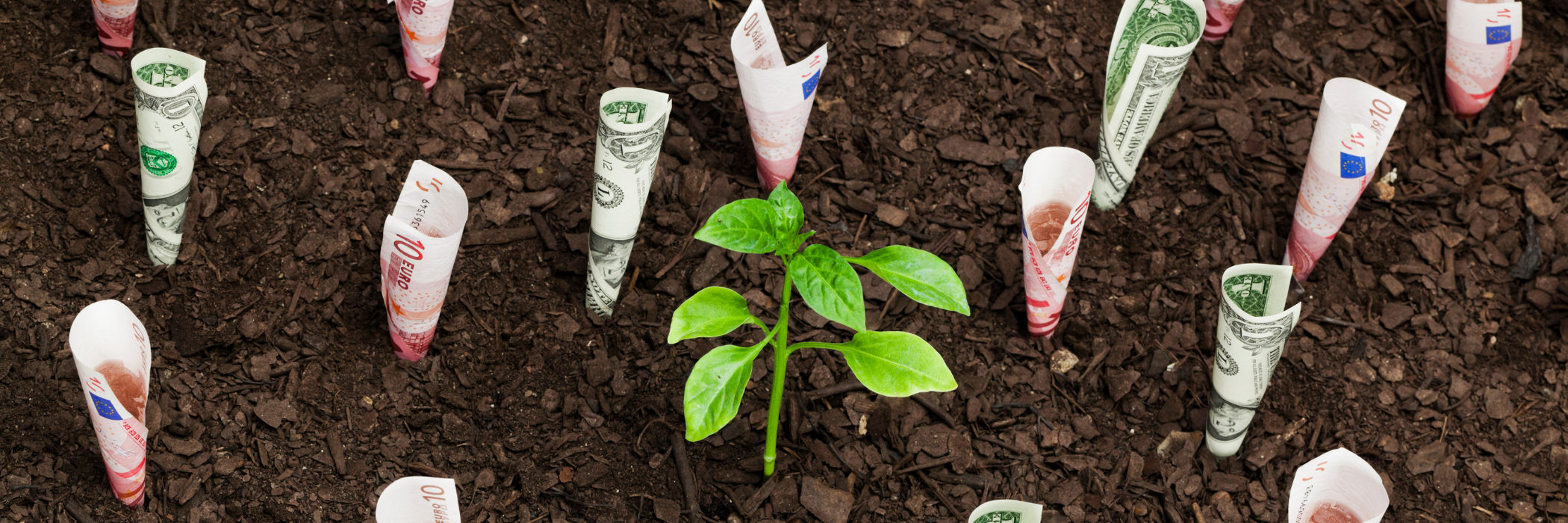 Australia to Develop ESG Taxonomy and Labels - EcoActive