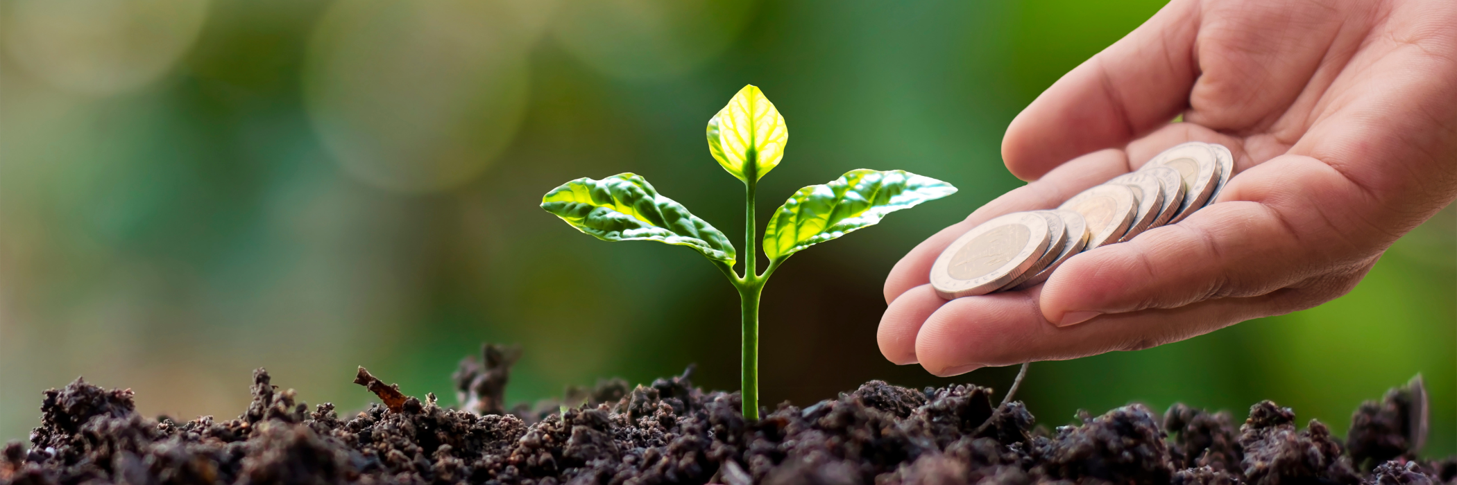 EU Regulators Propose Enhanced Sustainability Disclosures