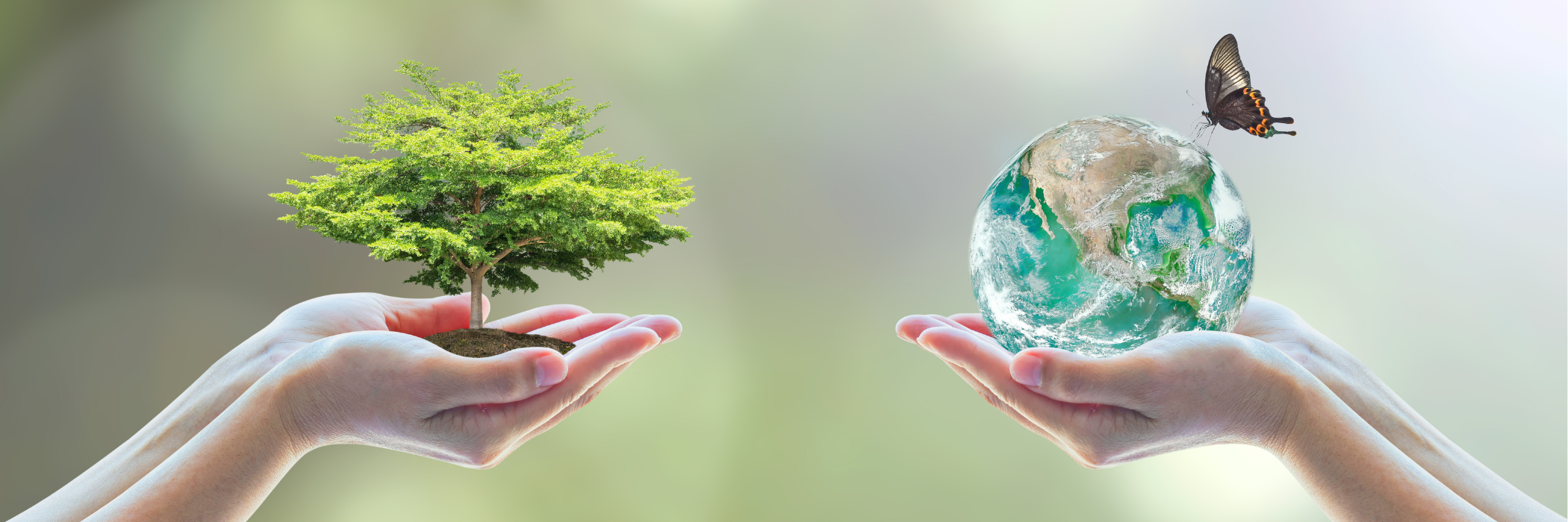 Decoding CSRD's Double Materiality Assessment - EcoActive