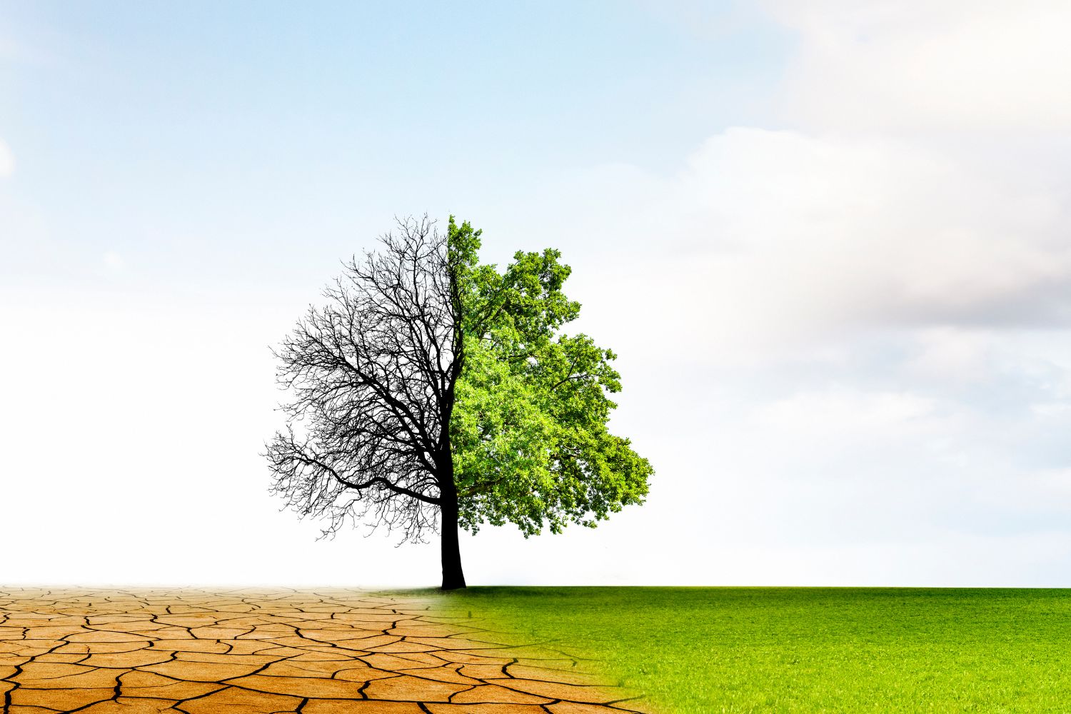 California Climate Resilience Bond Proposal