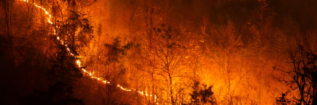 Bolivia Battles Record Wildfires, with Worst Likely Ahead - EcoActive