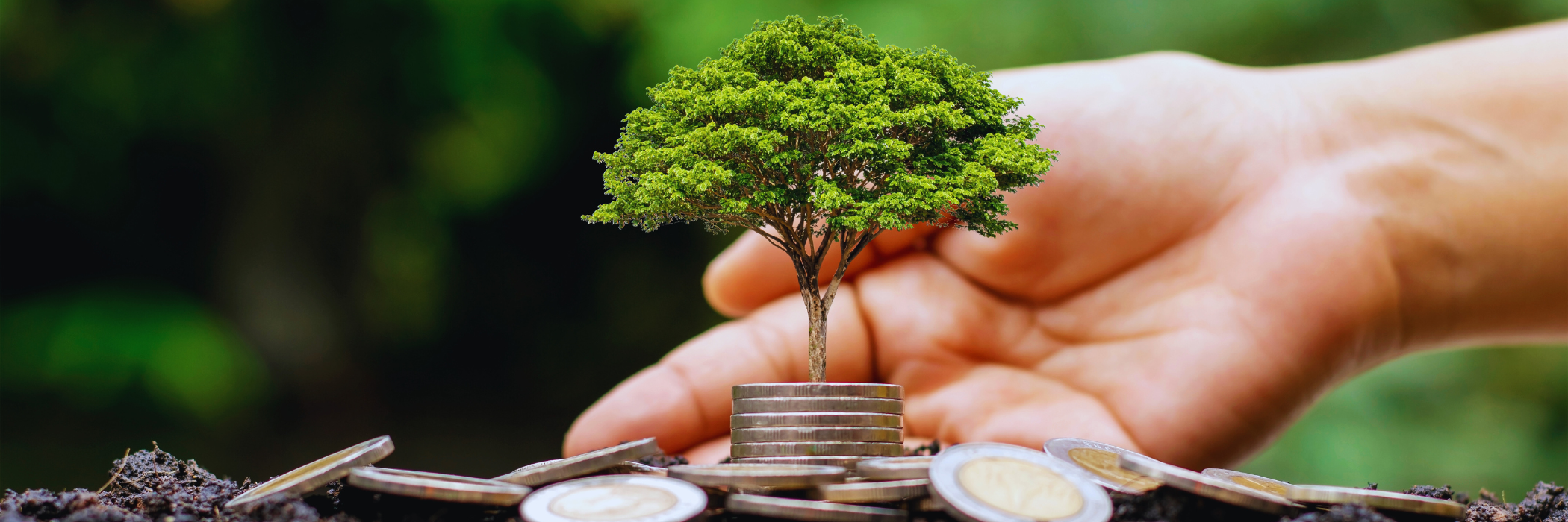 EPA Releases Proposed Updates to Recommendations to Help Buyers Find ...