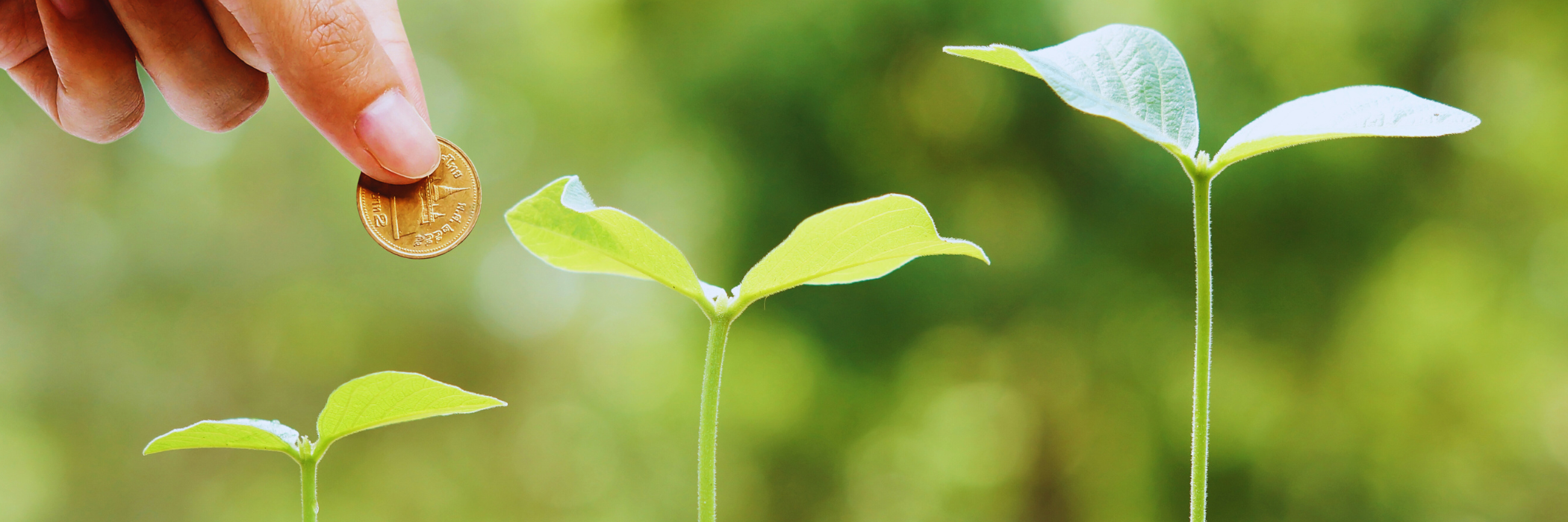 FCA Delays Implementation of SDR Sustainable Fund Labeling Rules to ...