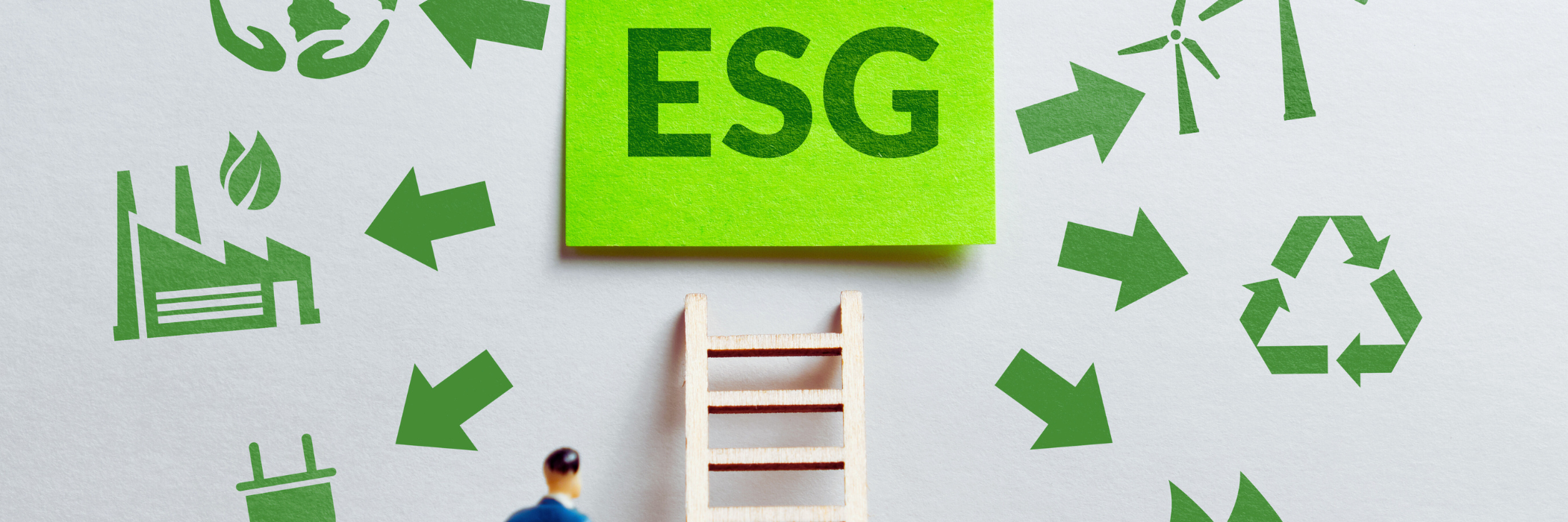 Preparing for the Future of ESG: What Companies in the EU, US, UK, and ...