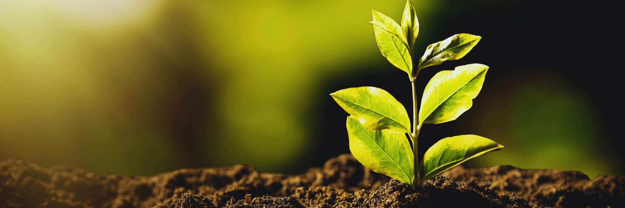 ESG Reporting Trends in 2024: Global Insights for Forward-Thinking ...