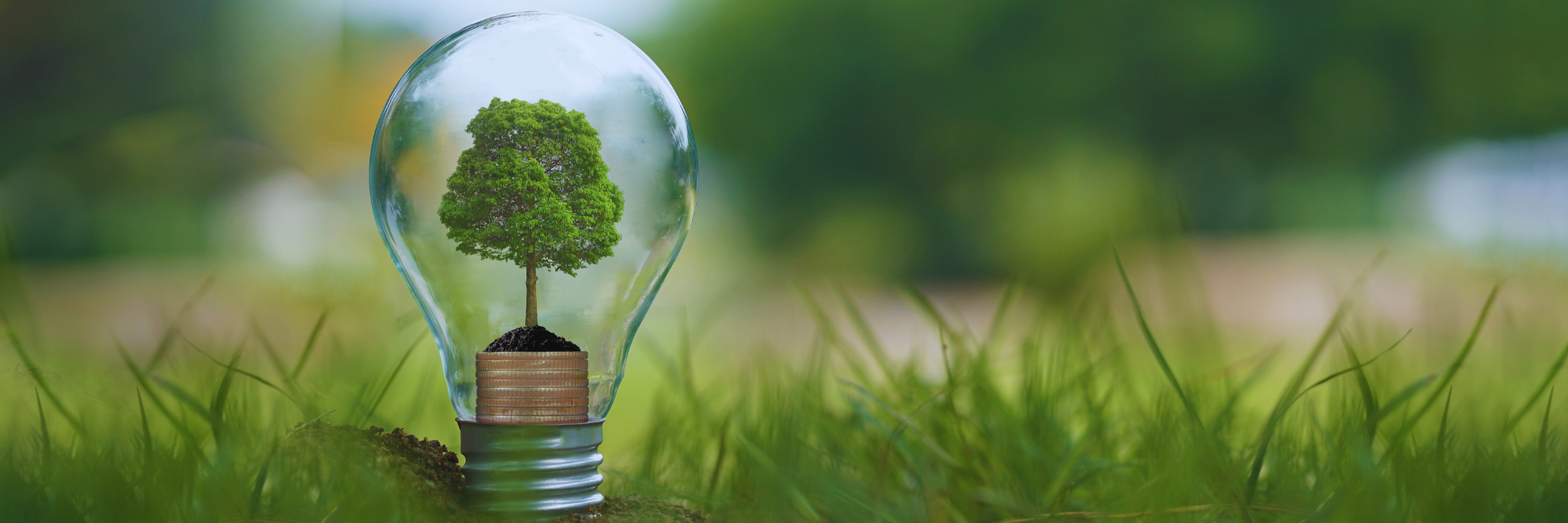 Navigating New Carbon Reporting Standards: What Businesses Need to Know ...