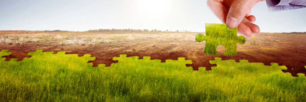 Climate Disclosure Trends: What the SEC’s 2025 Climate Rules Mean for ...