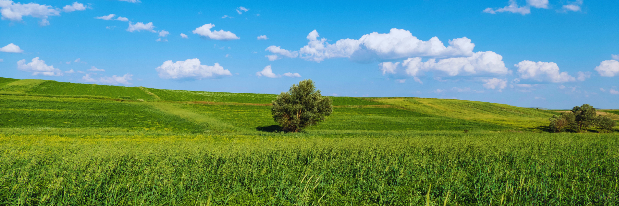 IPSASB Develops First Climate Disclosure Standard for the Public Sector ...