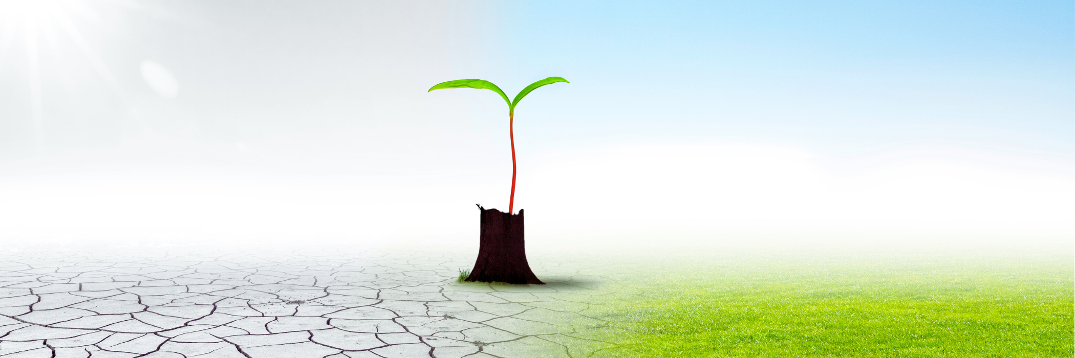 IFRS Foundation Publishes New Guide on Climate-Related Disclosures ...