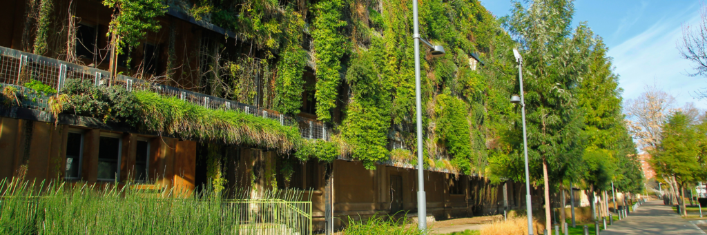 The Role of Board Oversight in ESG - A 2025 Perspective - EcoActive ESG