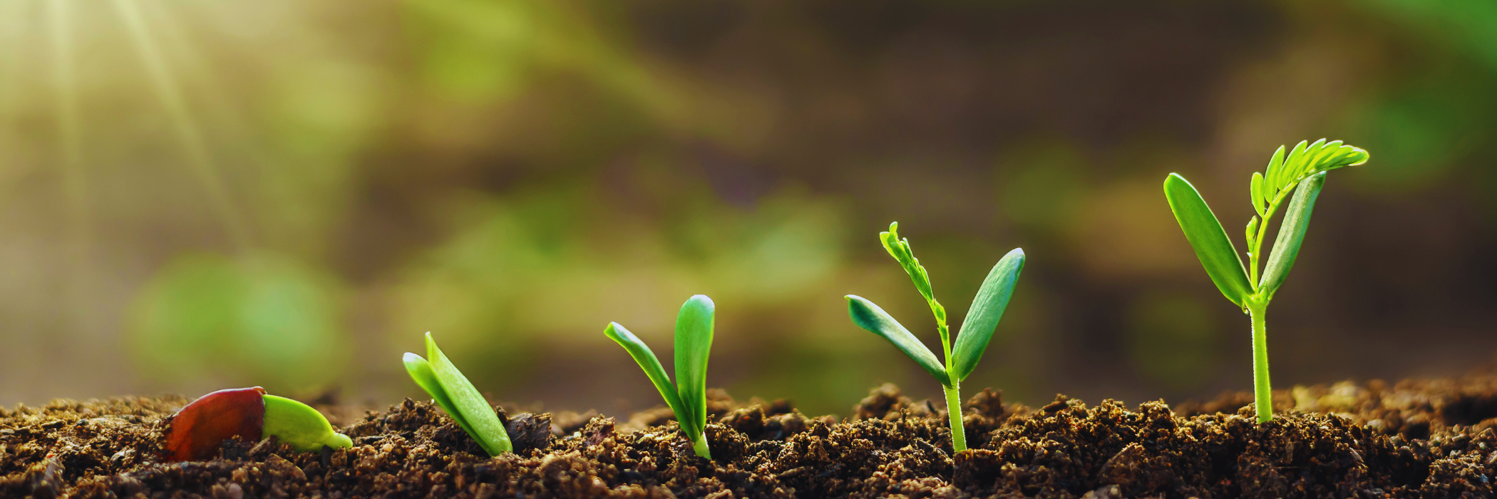 The 5 Main Challenges of ESG Reporting and Best Practices - EcoActive ESG