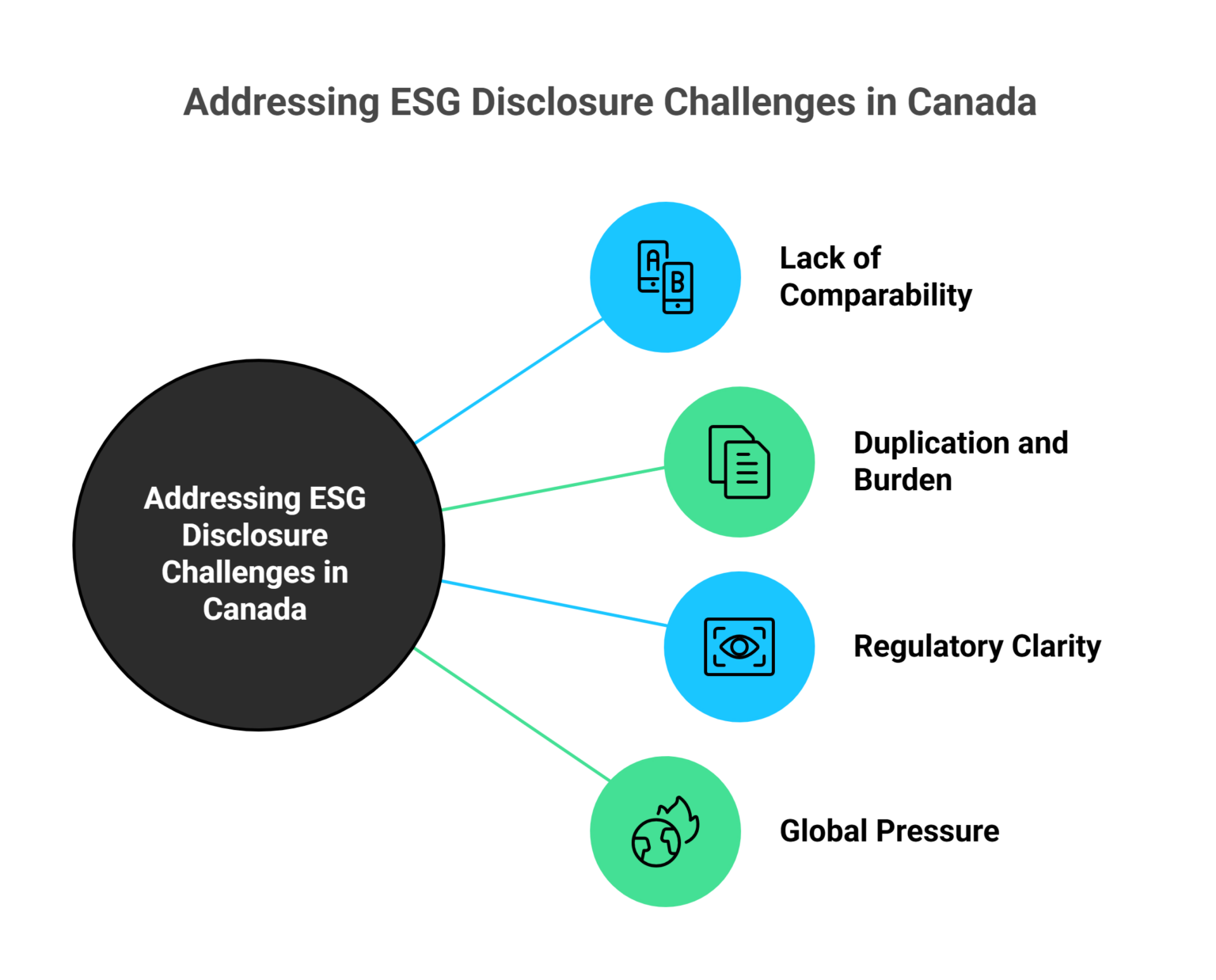 What is Canadian Sustainability Disclosure Standards (CSDS)?