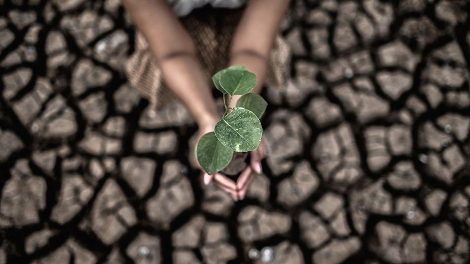 Climate Scenario Analysis in ESG Reporting for 2025 | A Practical Guide